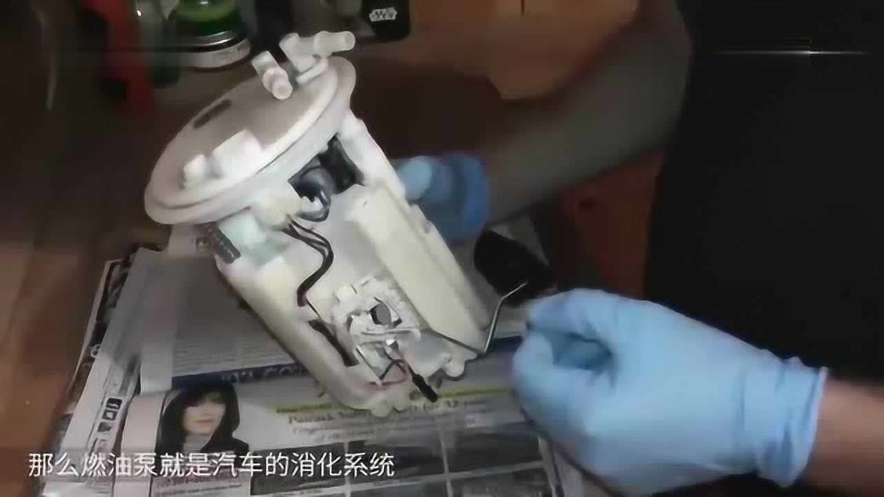 文章图片