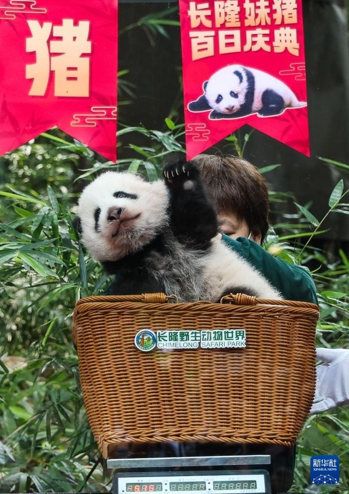 文章图片