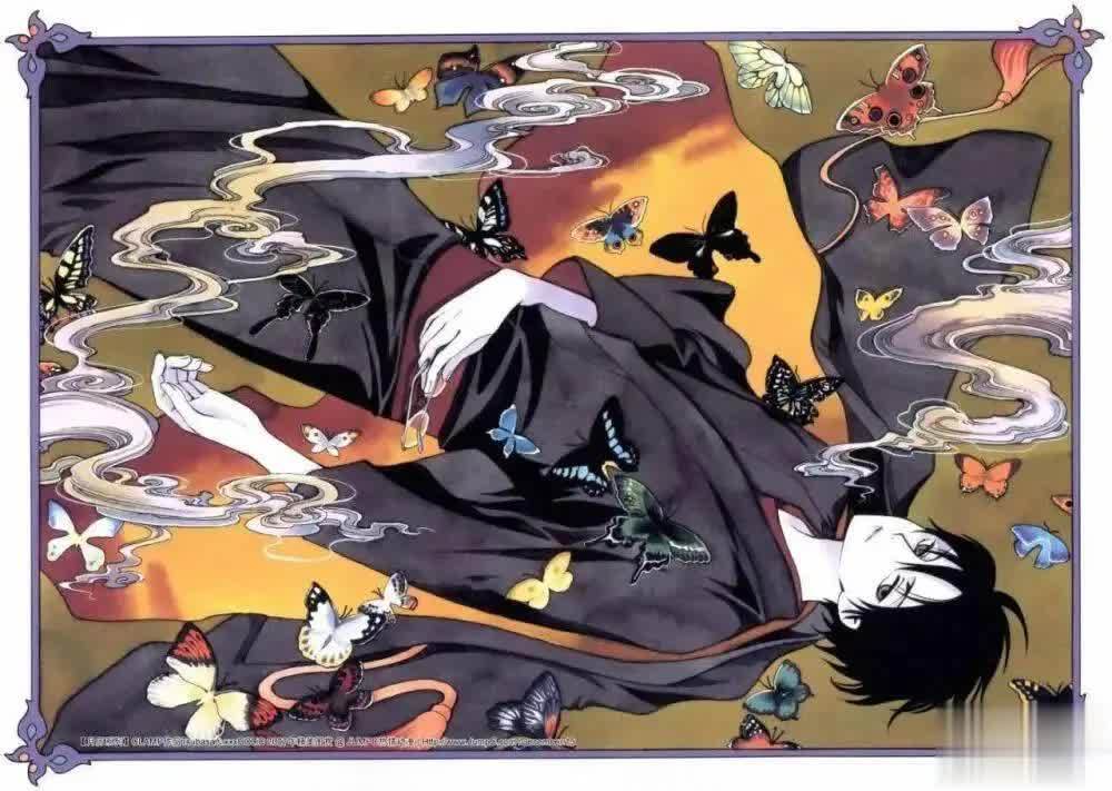 文章图片