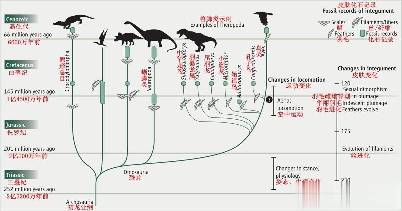 文章图片