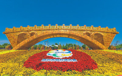 文章图片