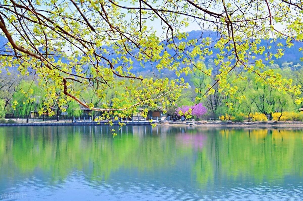文章图片