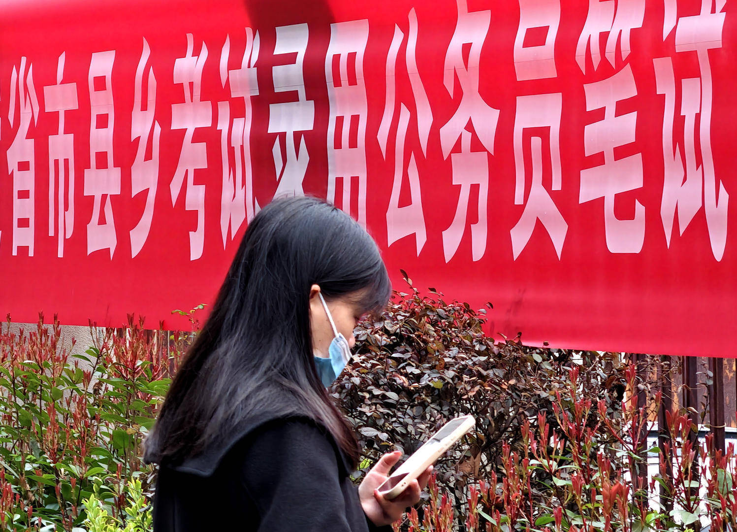 文章图片