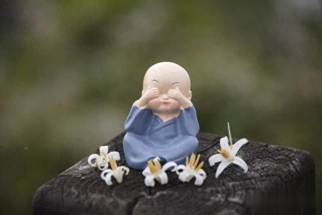 文章图片