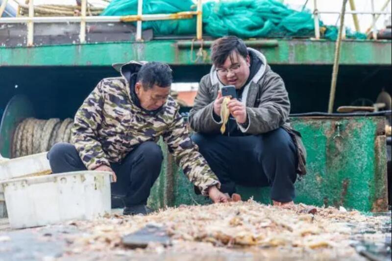 文章图片