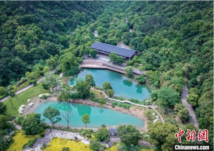 文章图片