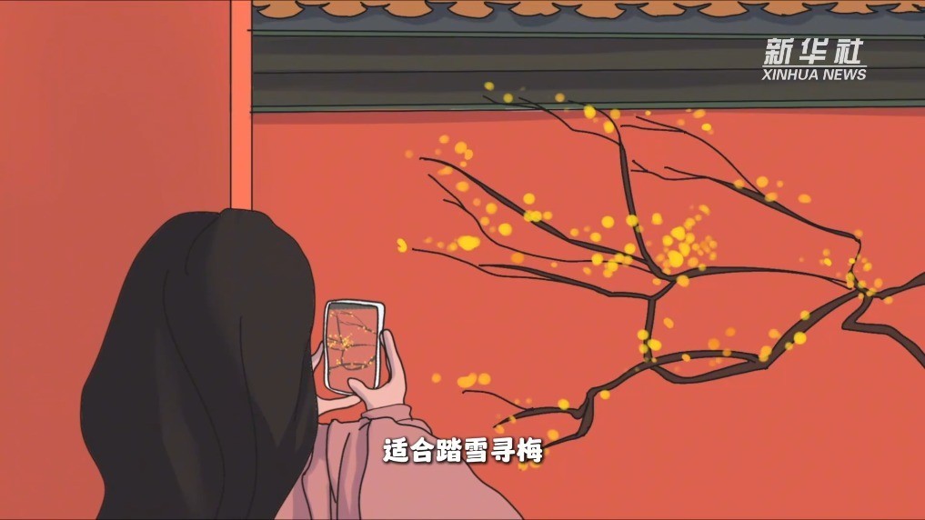 文章图片