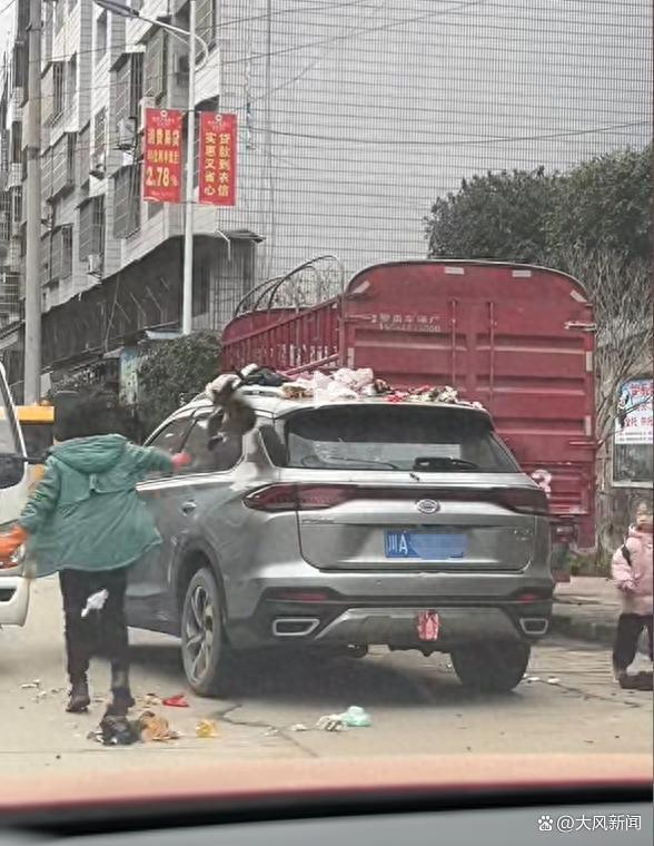 文章图片