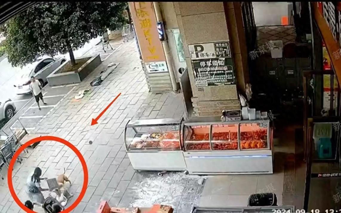 文章图片
