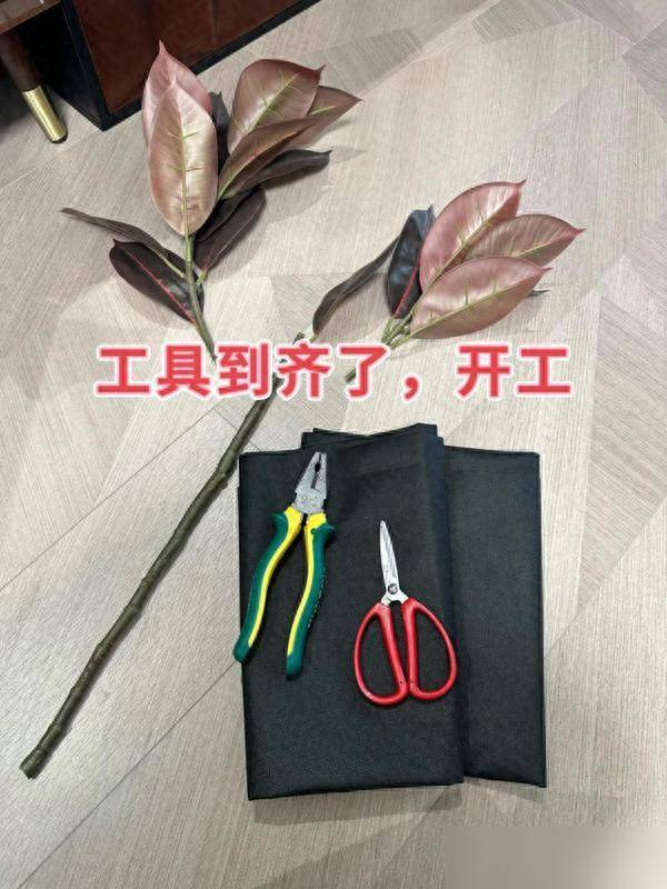 文章图片