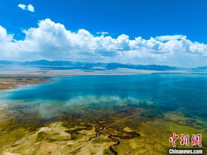 文章图片