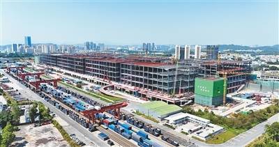 文章图片