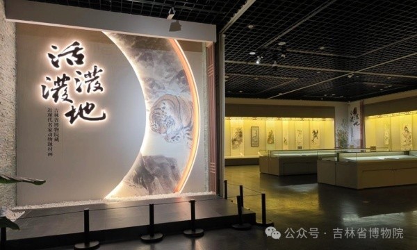 文章图片