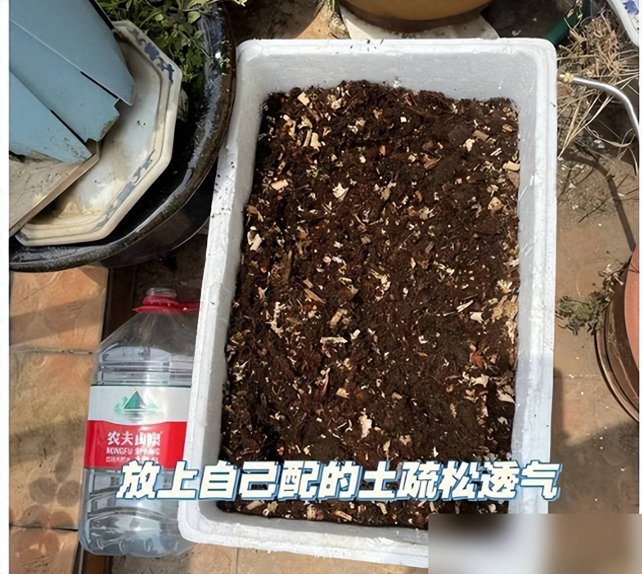 文章图片