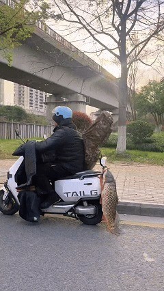 文章图片