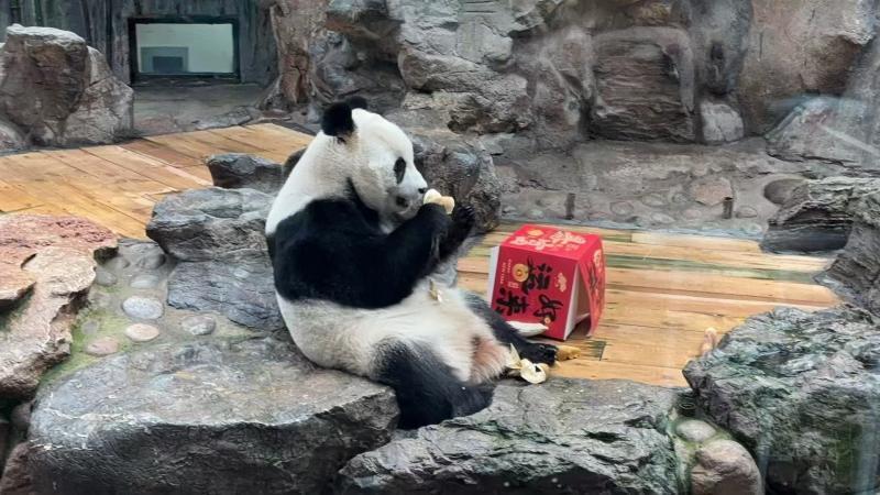 文章图片