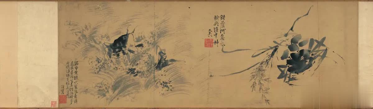 文章图片