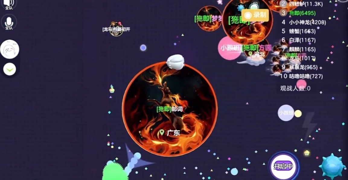 文章图片
