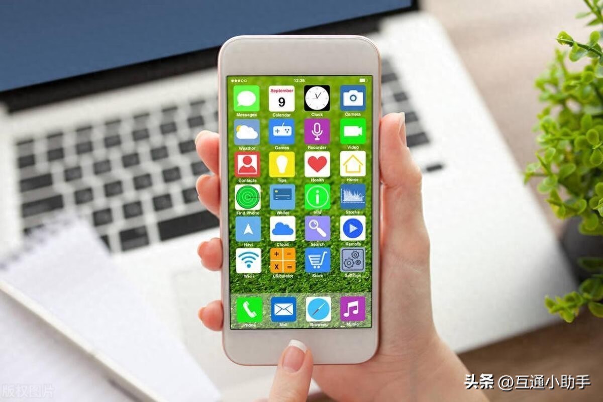 文章图片