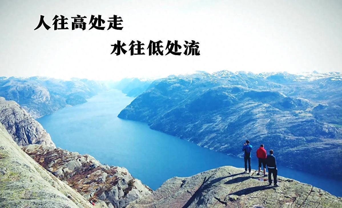 文章图片