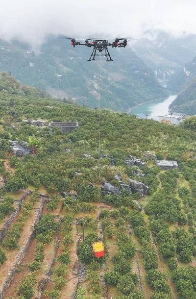 文章图片